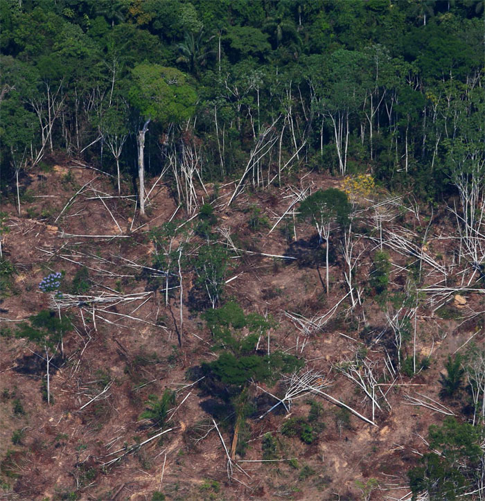 Why Tencel clothing stands apart from other rayon clothes - Sympatico ...